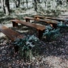 TIMBER BENCH - Hire In Style